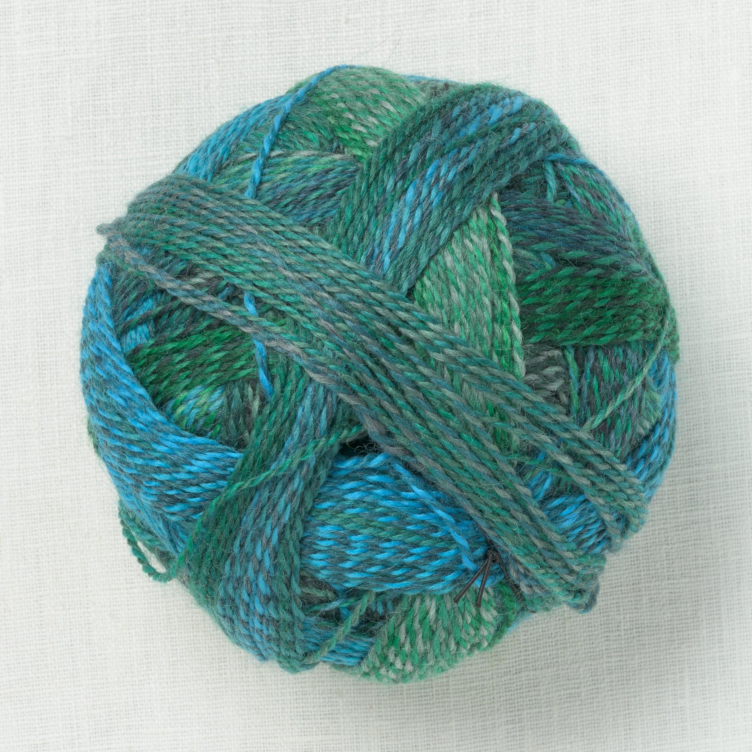 Schoppel Zauberball Starke 6 2542 Cool Botanical Garden – Wool and Company