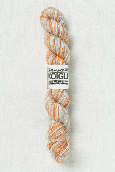 Koigu Painter's Palette Premium Merino KPPPM – Wool and Company