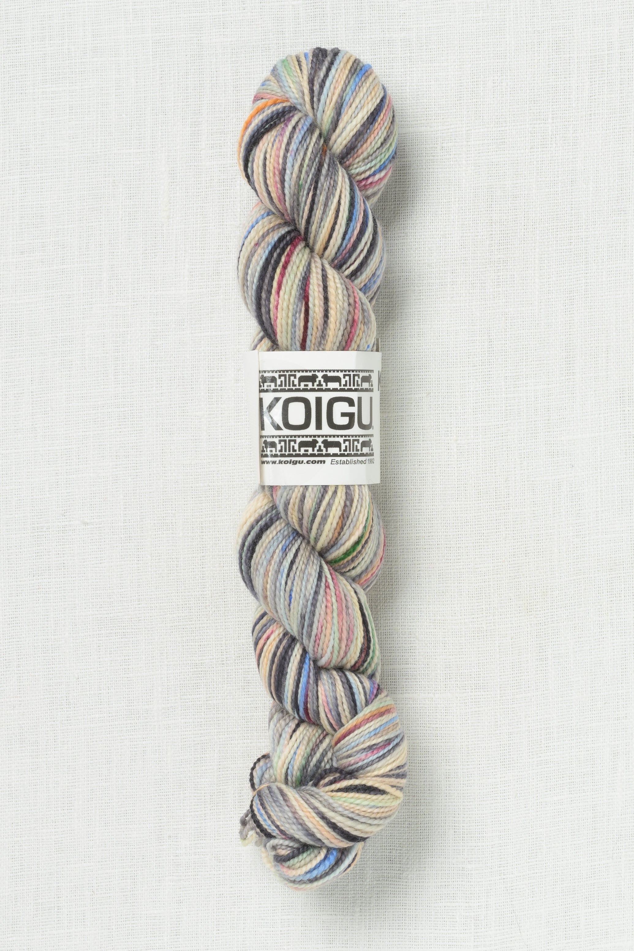Koigu Painter's Palette Premium Merino KPPPM P042 – Wool and Company