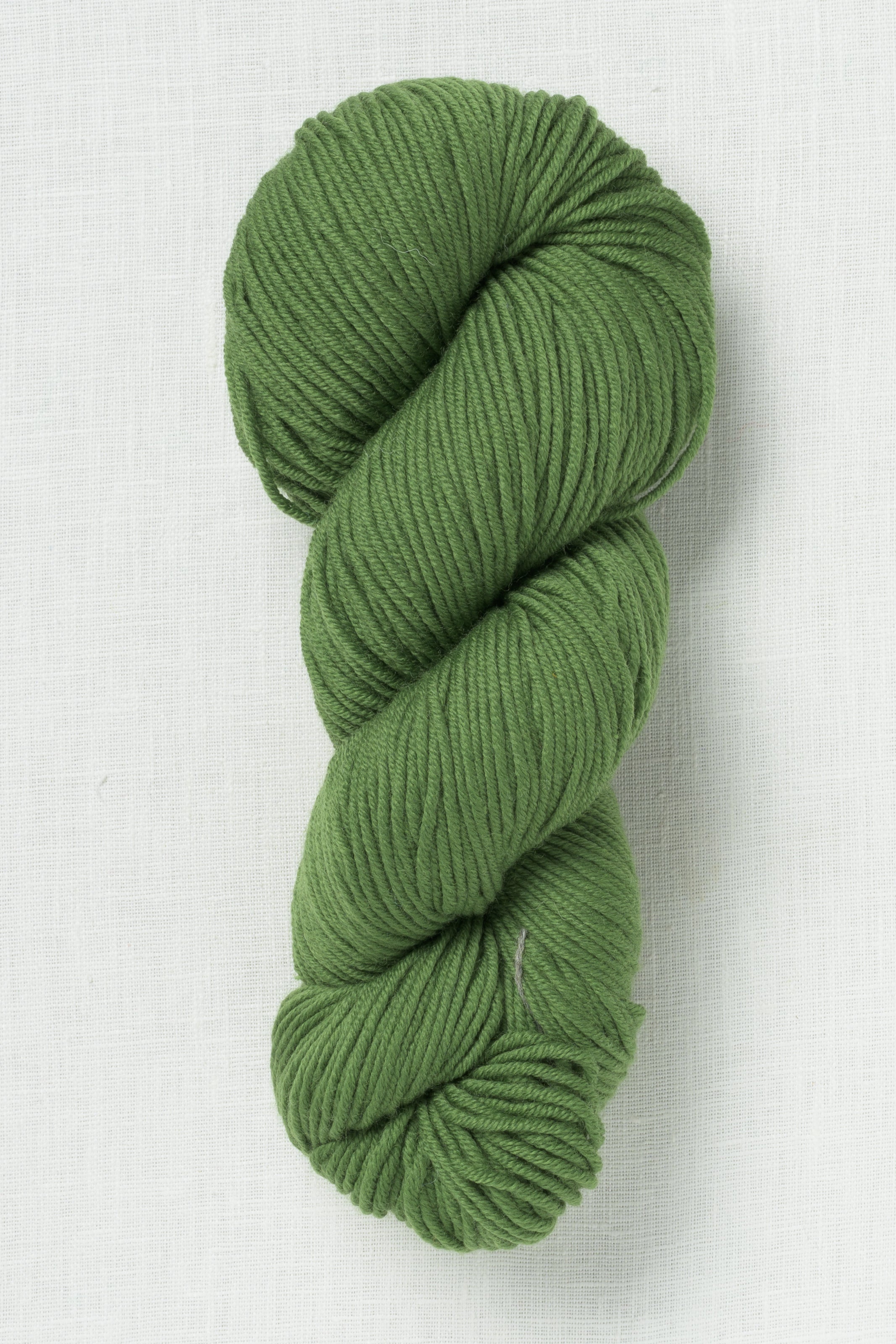 Plymouth Superwash Worsted 84 Fern – Wool and Company
