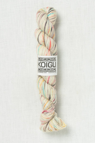 Koigu Painter's Palette Premium Merino KPPPM – Wool and Company