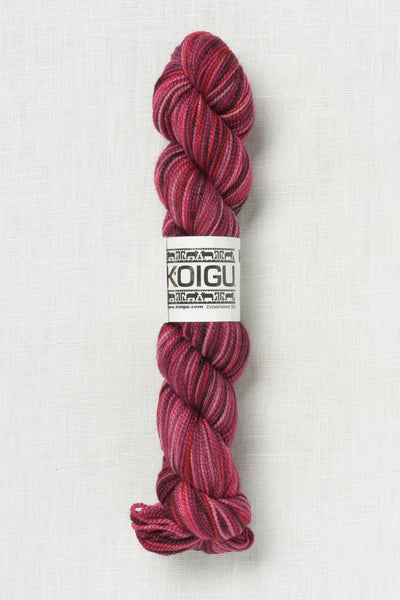 Koigu Painter's Palette Premium Merino KPPPM – Wool and Company