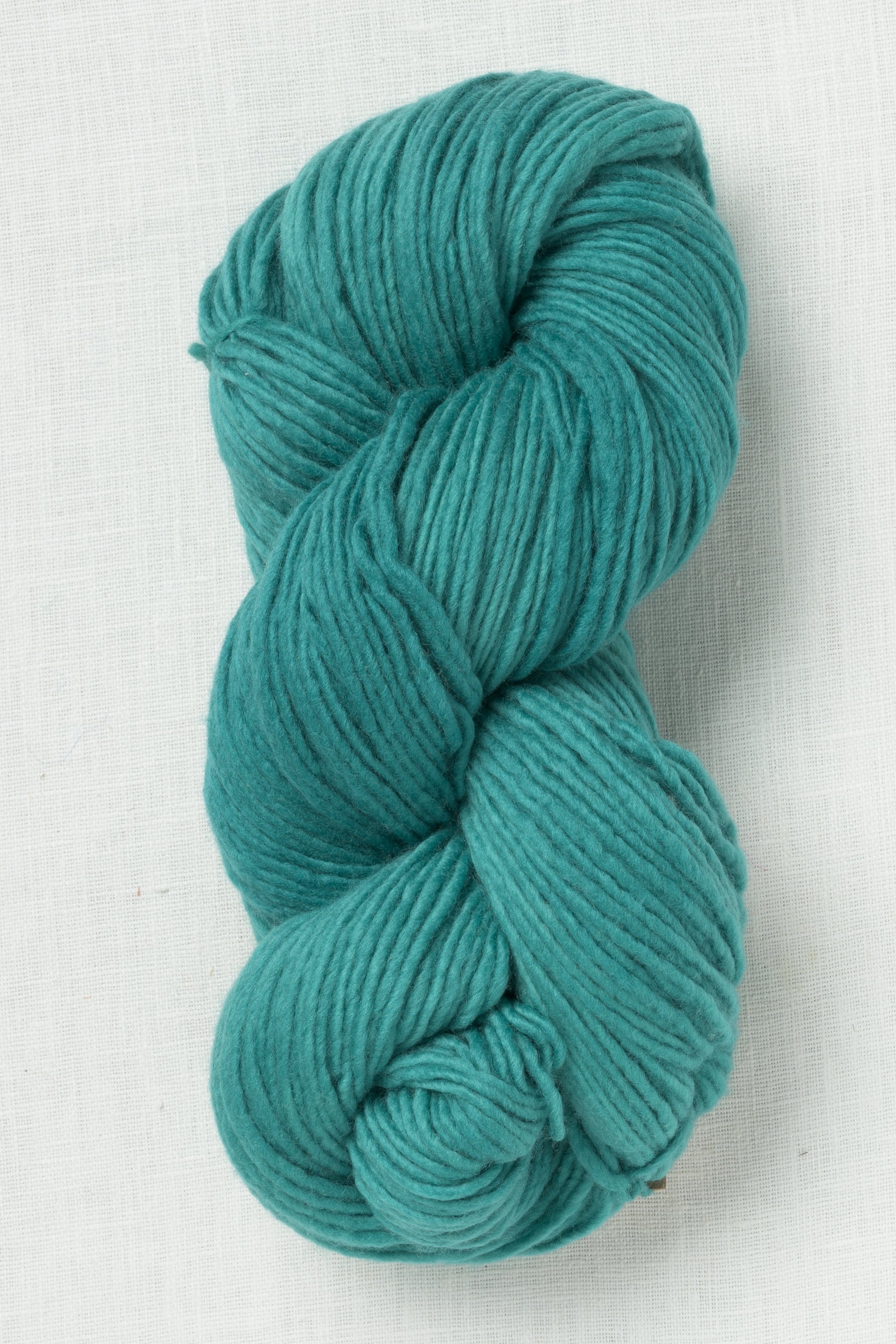 Manos del Uruguay Maxima Jade – Wool and Company