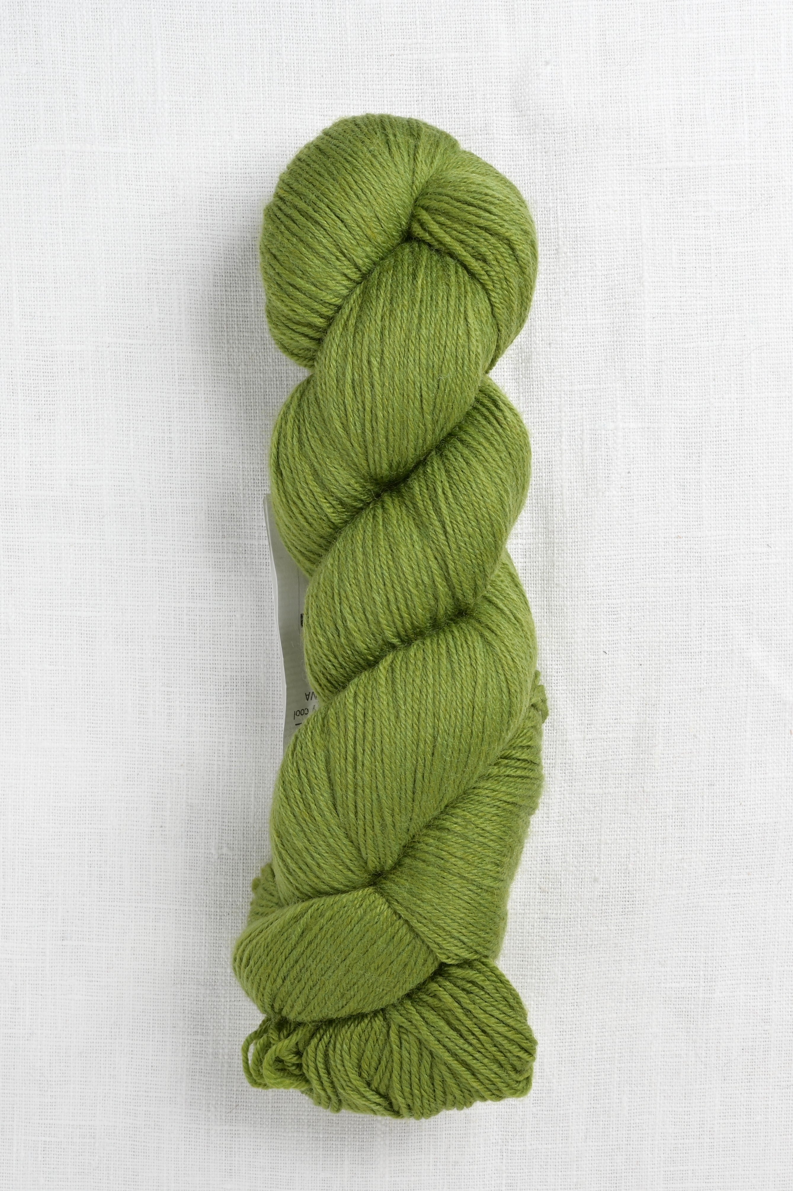 Cascade Heritage 5684 Cedar Green – Wool and Company