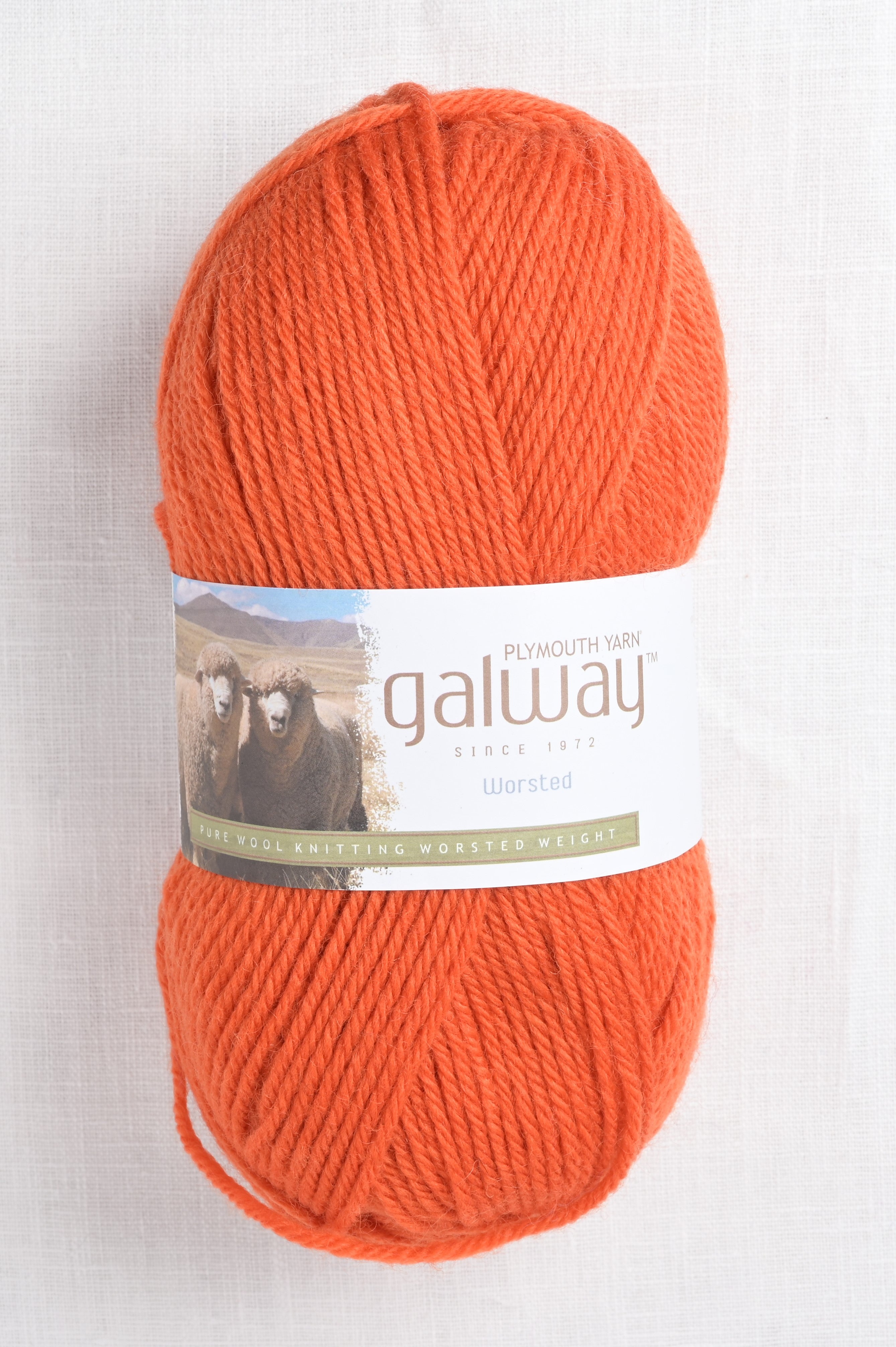 Plymouth Galway Worsted 91 Clementine Orange – Wool and Company