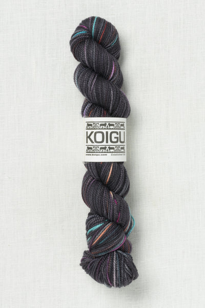 Koigu Painter's Palette Premium Merino KPPPM – Wool and Company