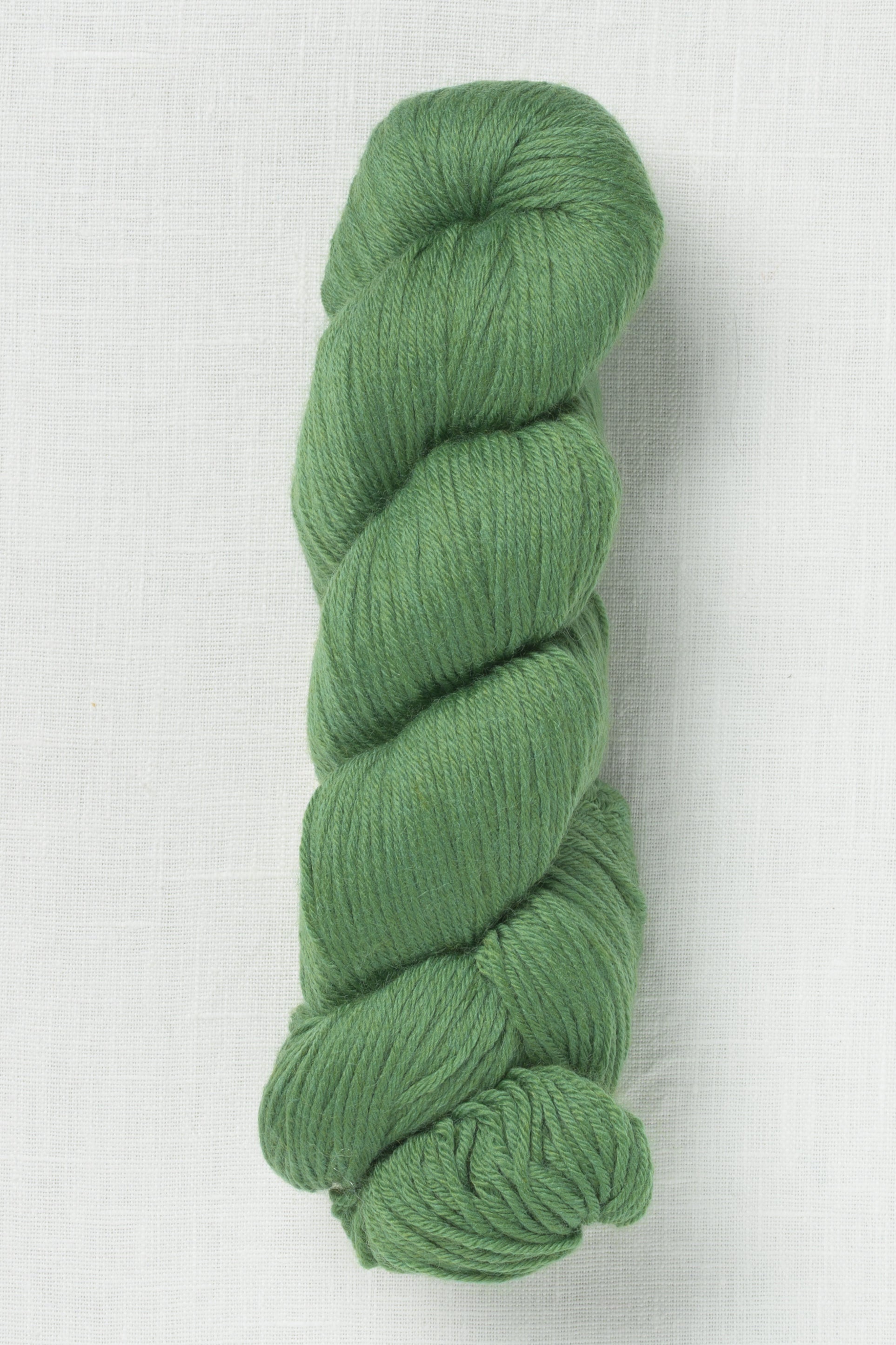 Cascade Heritage 6 5635 Sage – Wool and Company