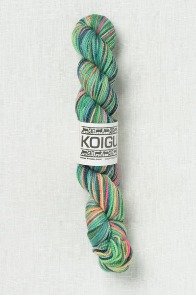 Koigu Painter's Palette Premium Merino KPPPM – Wool and Company