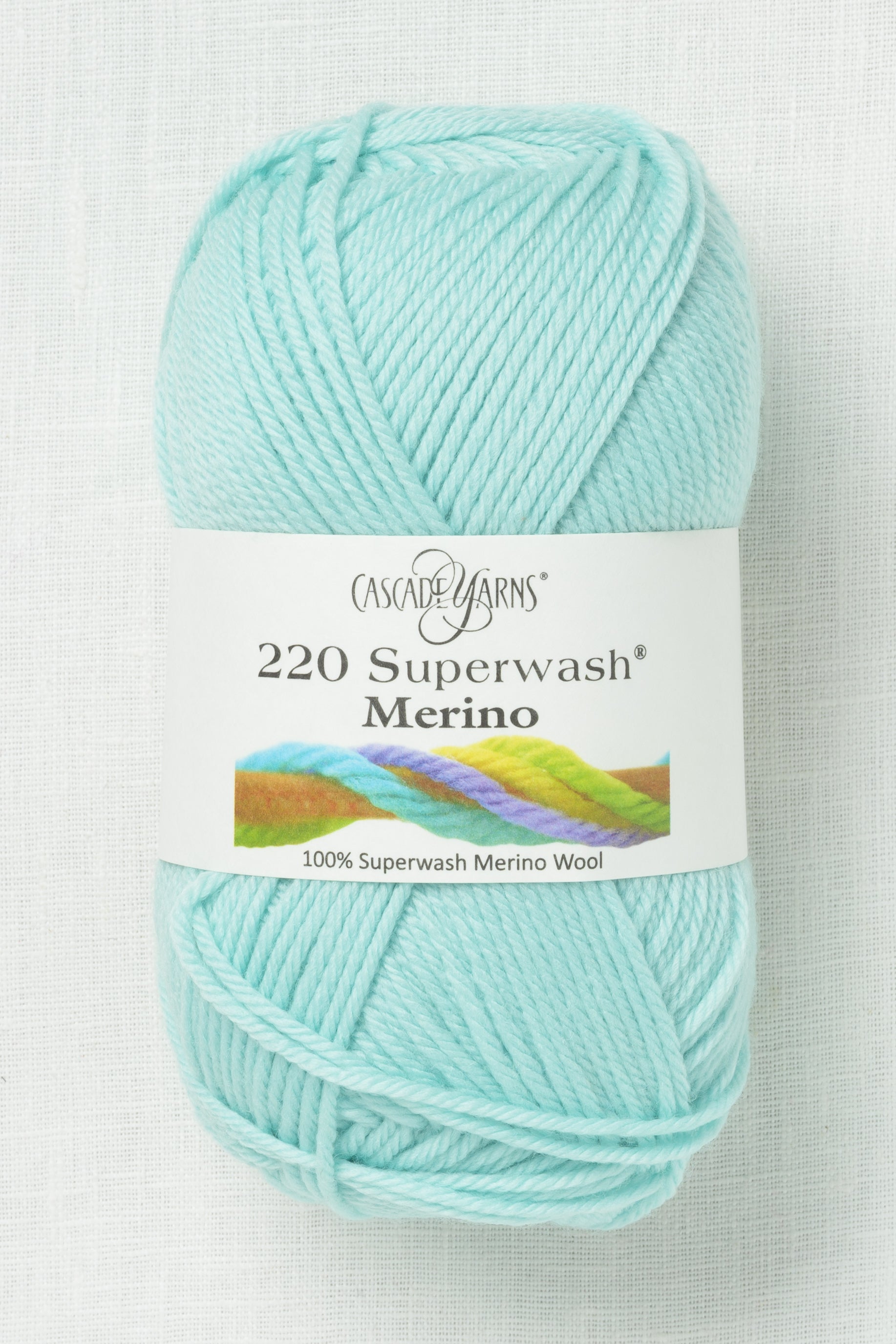 Cascade 220 Superwash Merino 89 Aqua Haze – Wool and Company