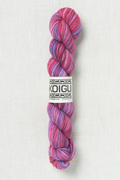 Koigu Painter's Palette Premium Merino KPPPM – Wool and Company