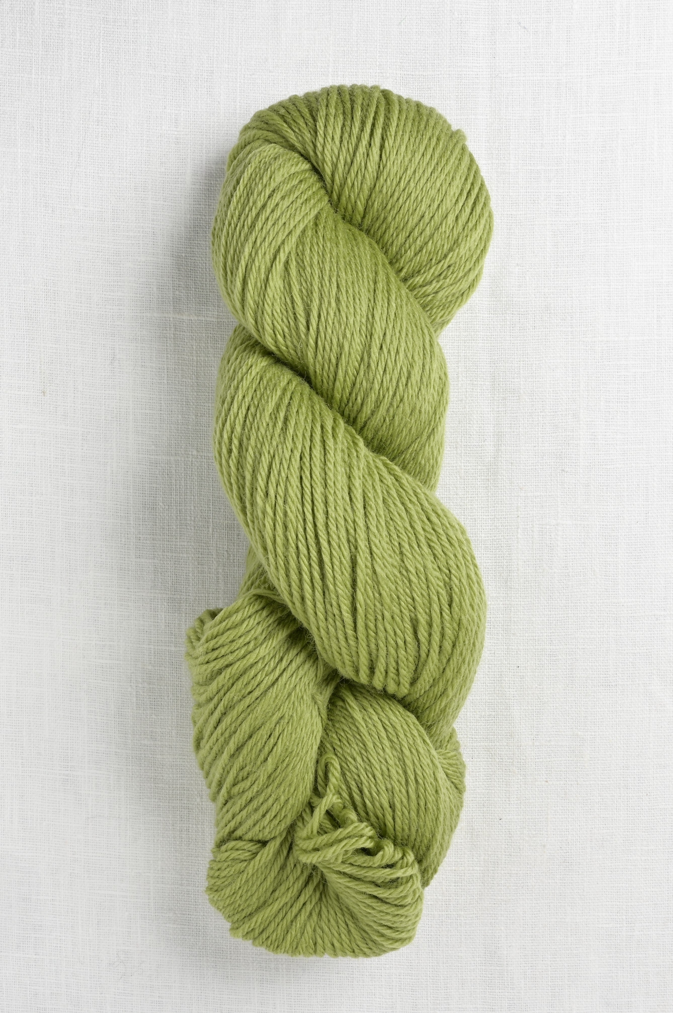Cascade 220 1051 Fern – Wool and Company