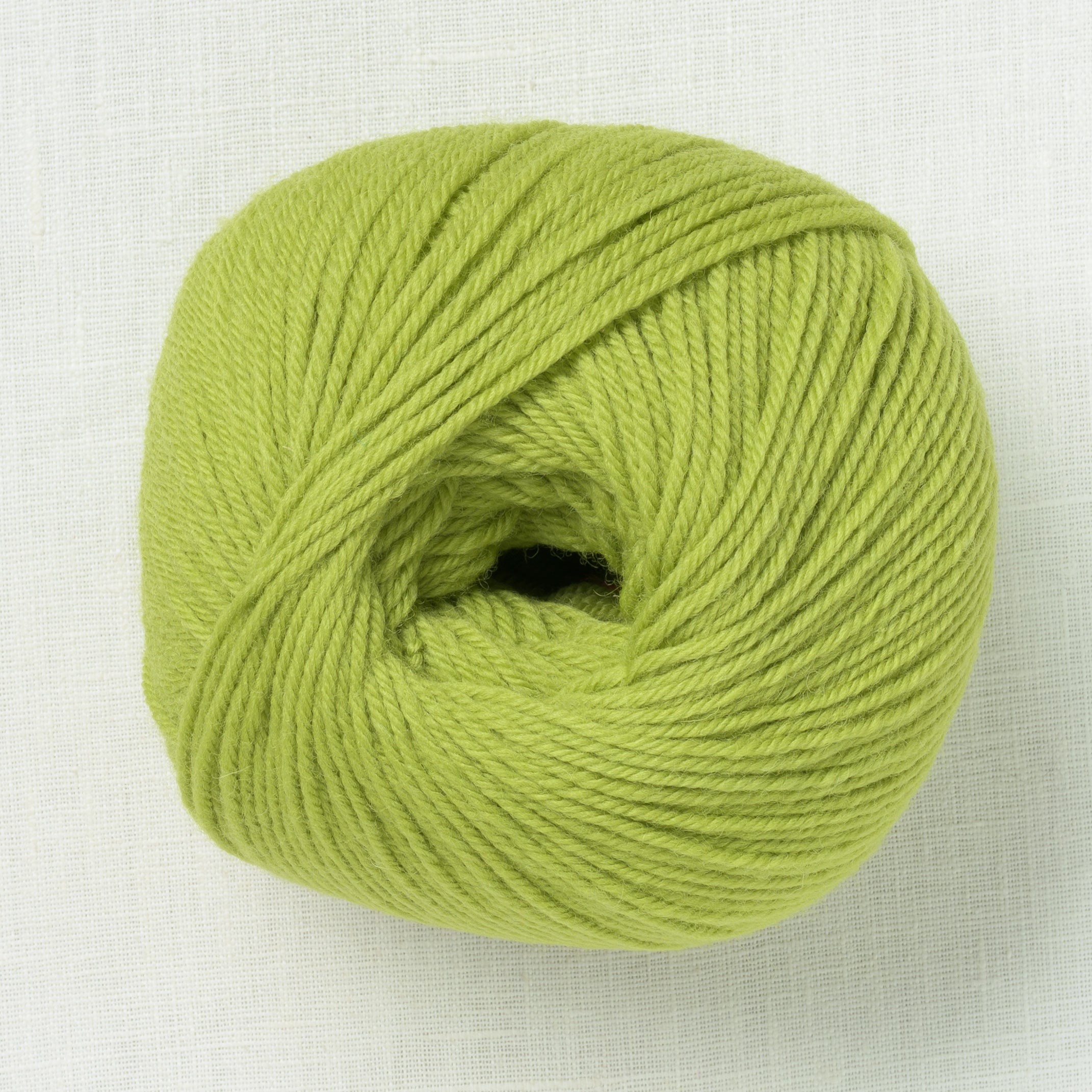 Ella Rae Superwash Classic Wool 1010 Avocado Toast – Wool and Company