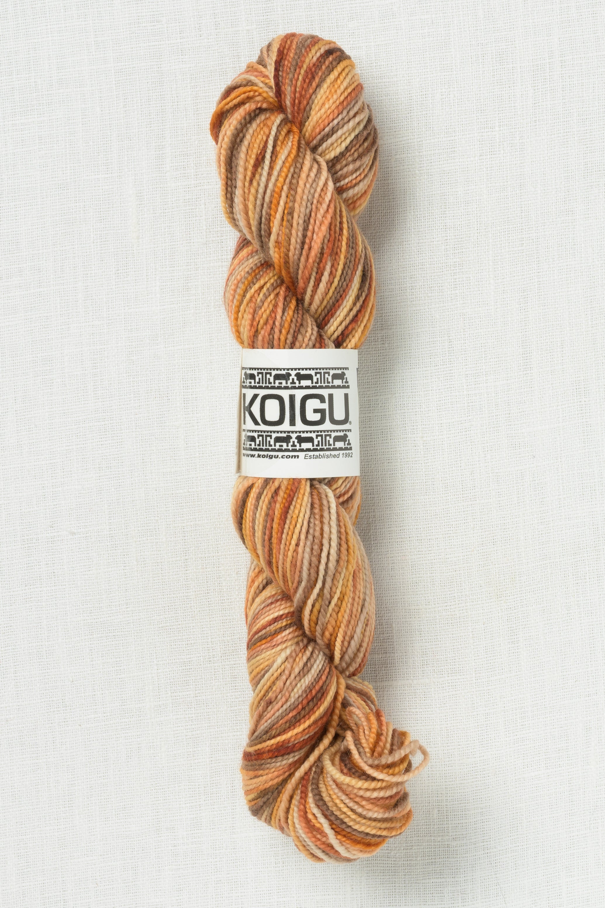 Koigu Painter's Palette Premium Merino KPPPM P613 – Wool and Company