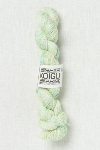 Koigu Painter's Palette Premium Merino KPPPM – Wool and Company