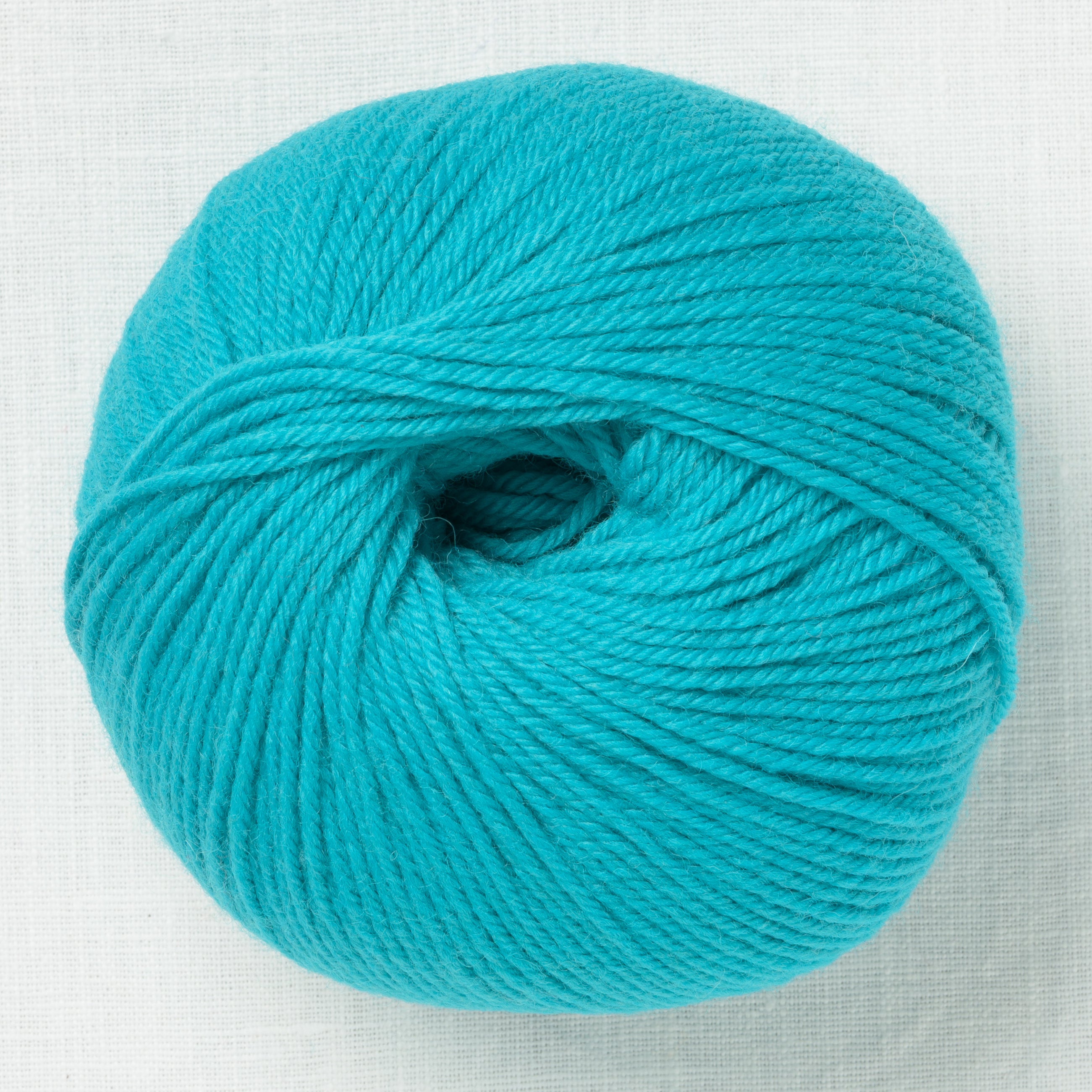 Ella Rae Superwash Classic Wool 1041 Aquamarine – Wool and Company