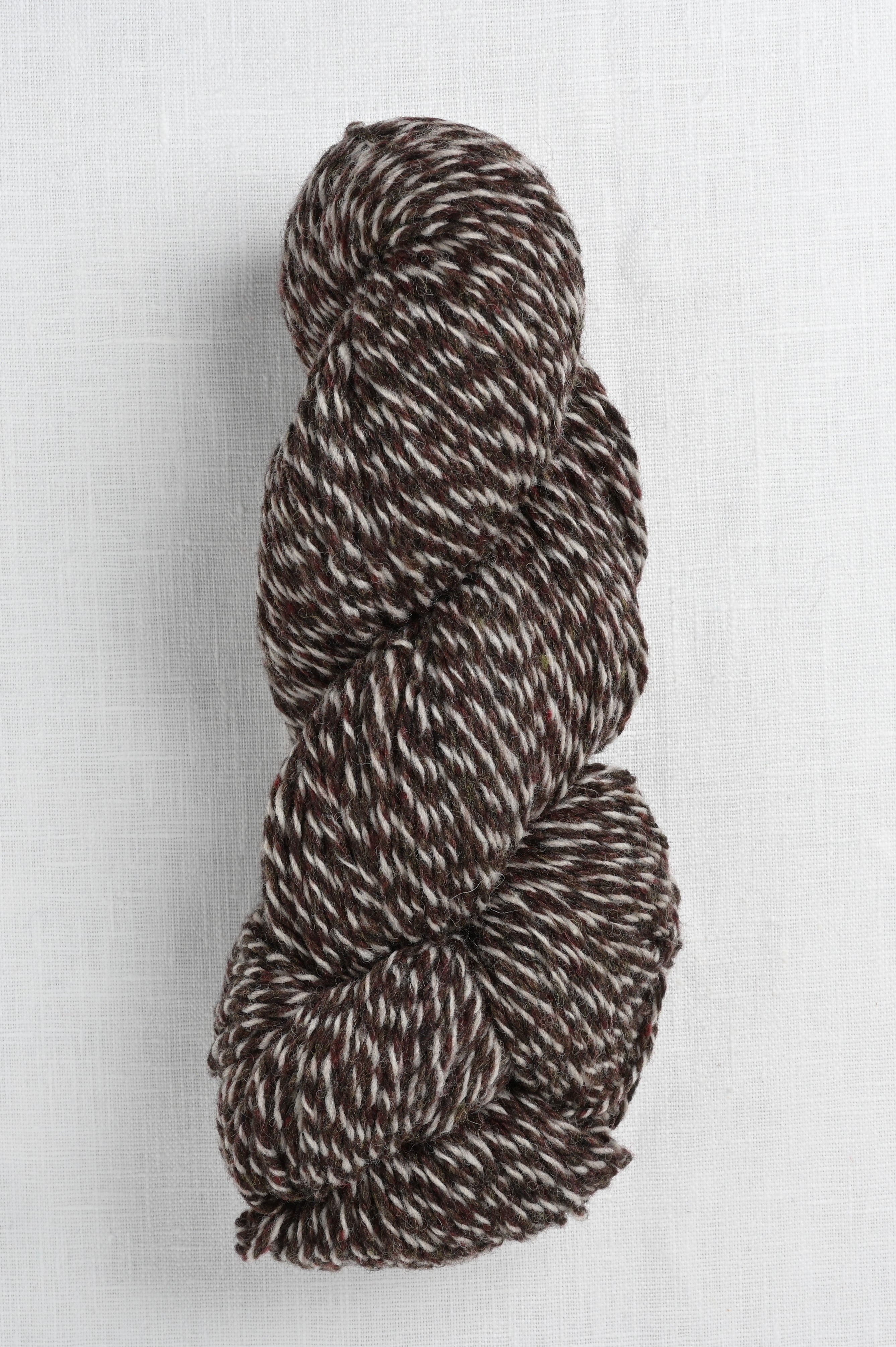 Cascade Eco Merino DK 09 Chocolate Swirl – Wool and Company