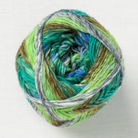 Noro Silk Garden Sock S542 Shiroishi – Wool and Company