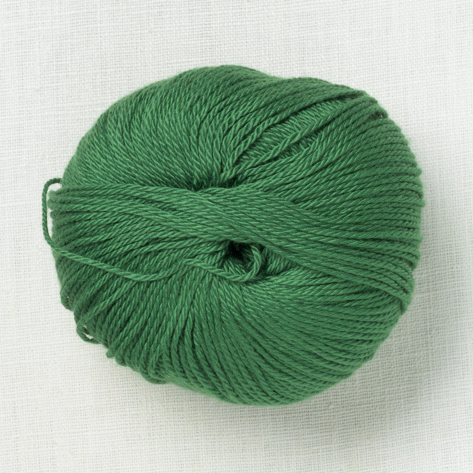 Pascuali Cumbria 329 Grass – Wool and Company