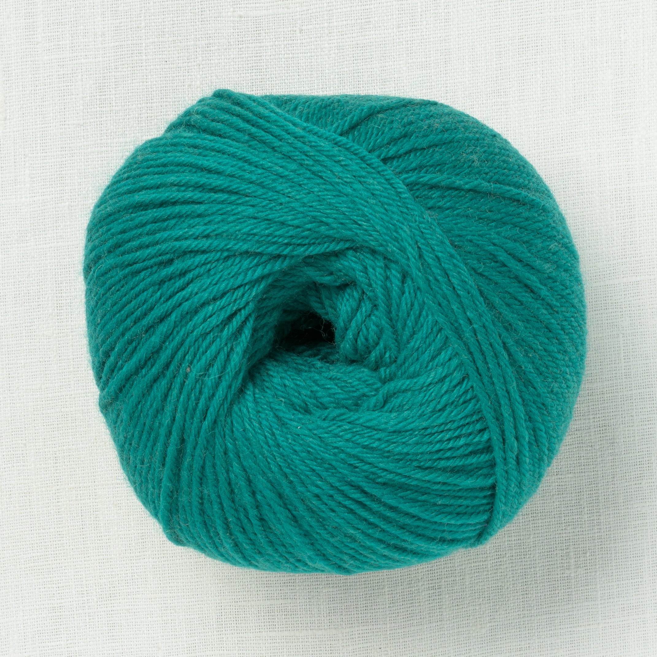 Ella Rae Superwash Classic Wool 1013 Peacock Tail – Wool and Company