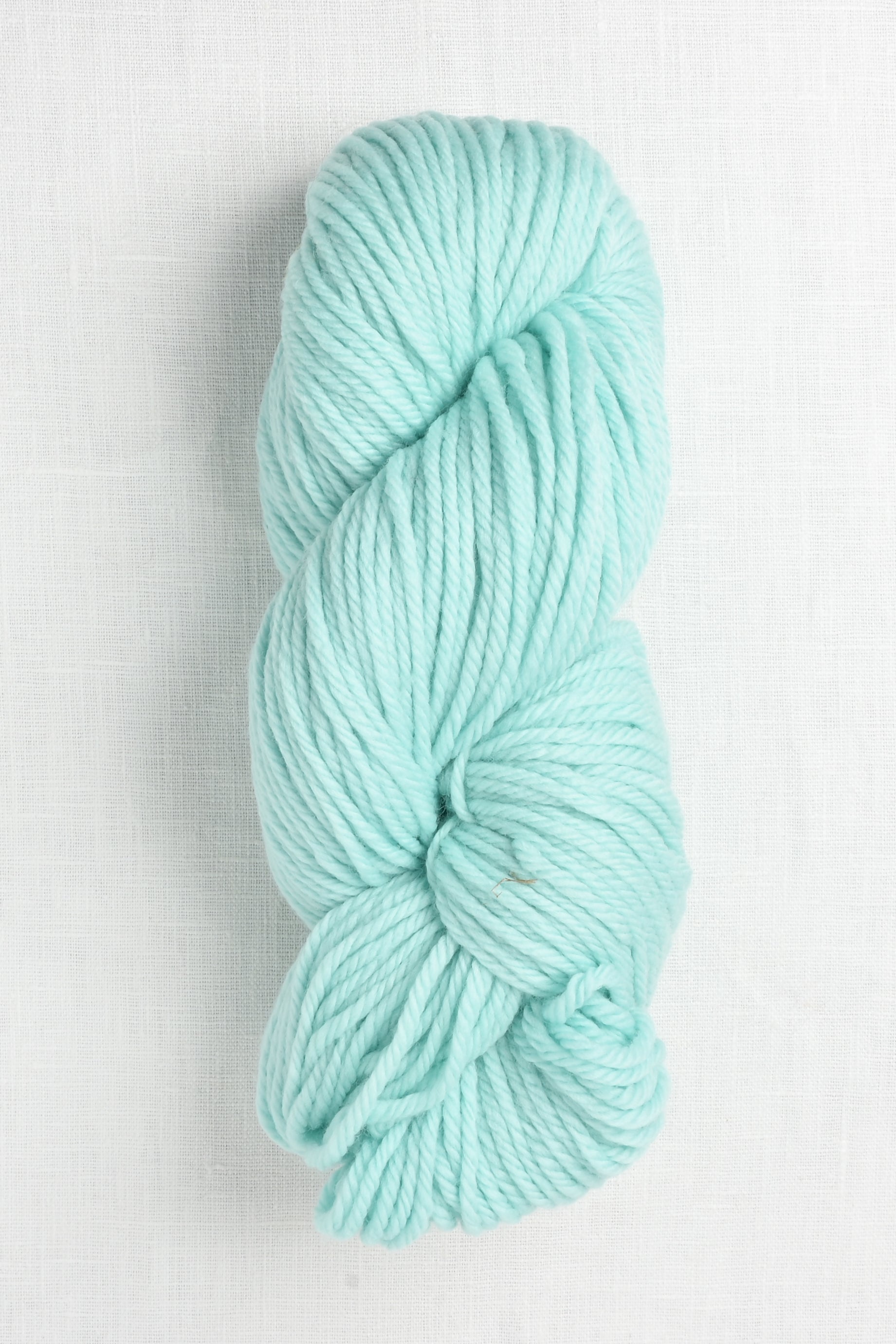 Cascade 220 Superwash Aran 513 Pastel Turquoise – Wool and Company