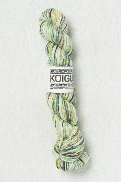 Koigu Painter's Palette Premium Merino KPPPM – Wool and Company