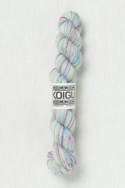 Koigu Painter's Palette Premium Merino KPPPM – Wool and Company