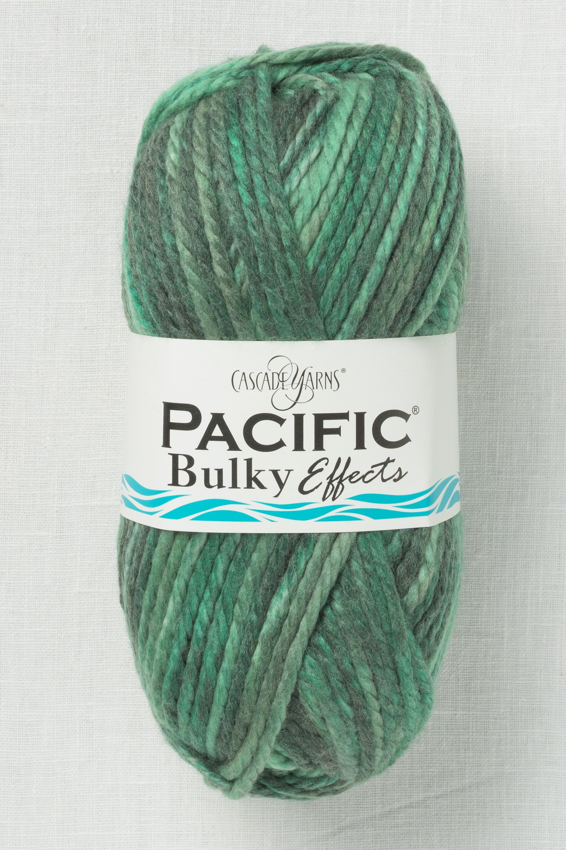 Cascade Pacific Bulky Effects 505 Sea Green – Wool and Company