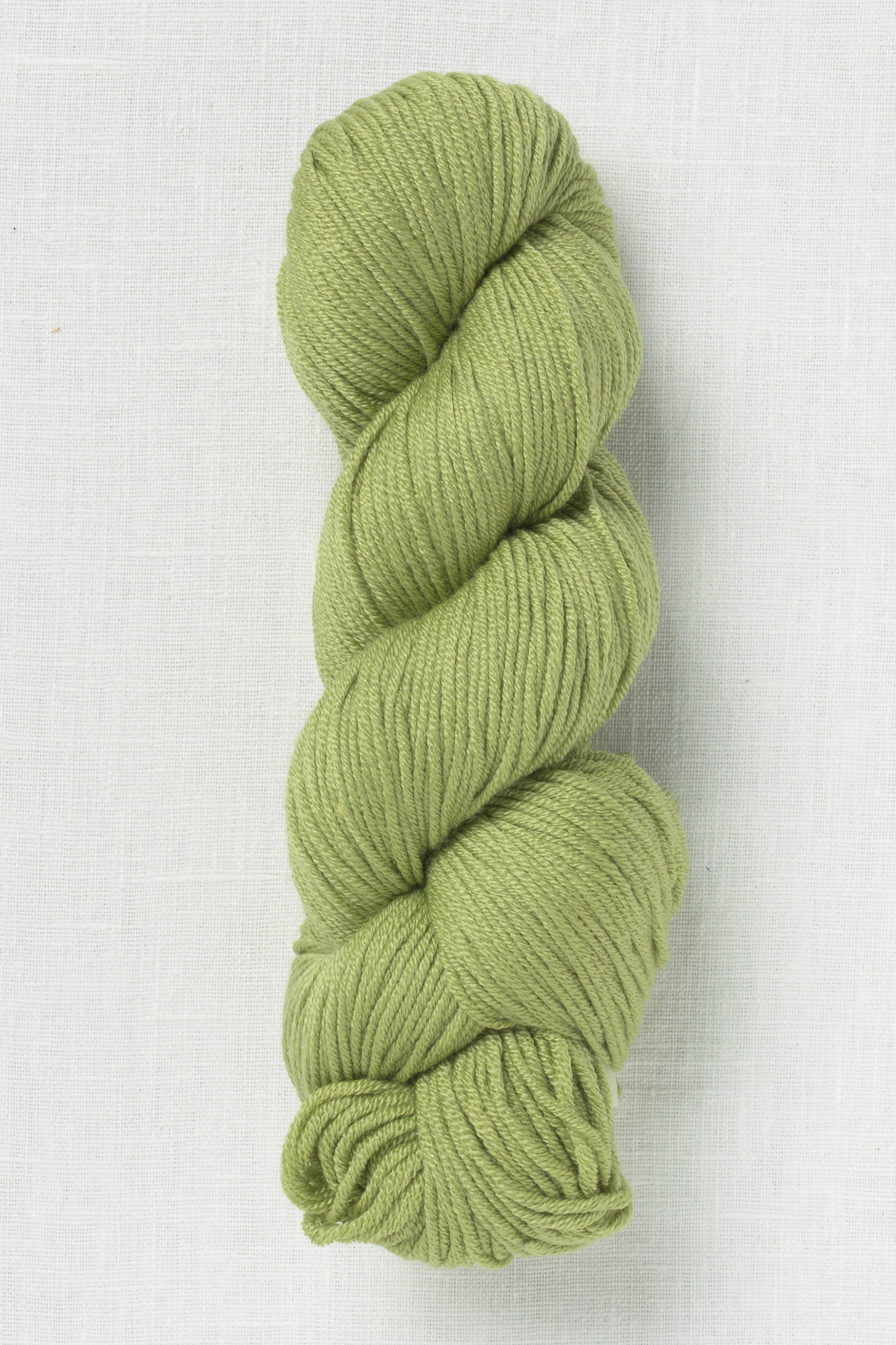 Cascade MeriSeta 9 Fern – Wool and Company