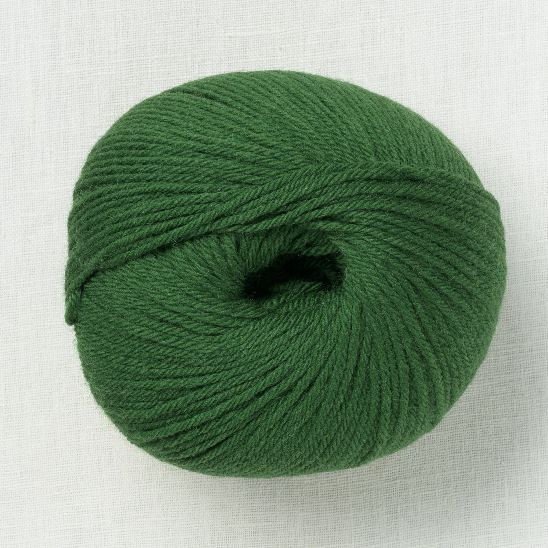 Ella Rae Superwash Classic Wool 1012 Pine Needle Green – Wool and Company