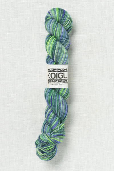 Koigu Painter's Palette Premium Merino KPPPM – Wool and Company